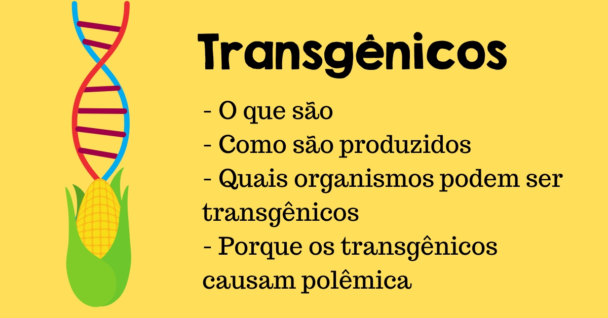 Transgênicos: entenda o que são e como são produzidos