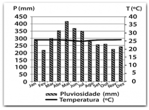 O que são mudanças climáticas suas causas e consequências