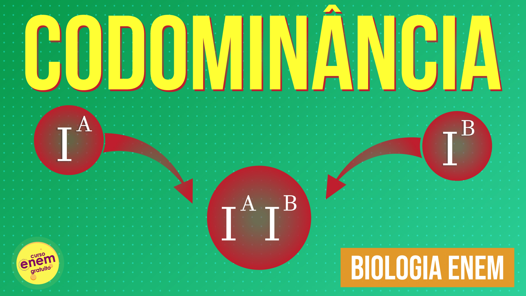 Codominância: o que é, exemplos e o sistema ABO
