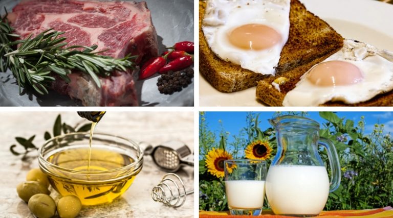 Lipídios: o que são, função e classificação - Biologia Enem