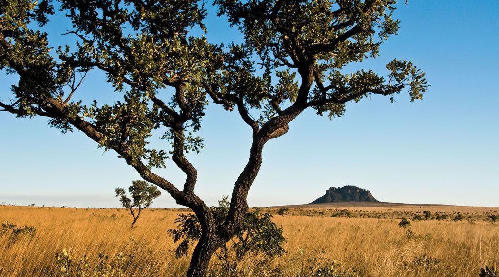 O conceito de paisagem na Geografia e seus elementos