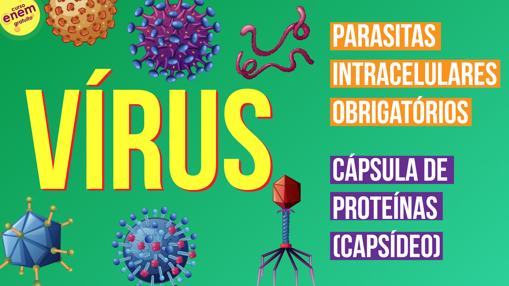 Vírus: o que são, estrutura, reprodução e características
