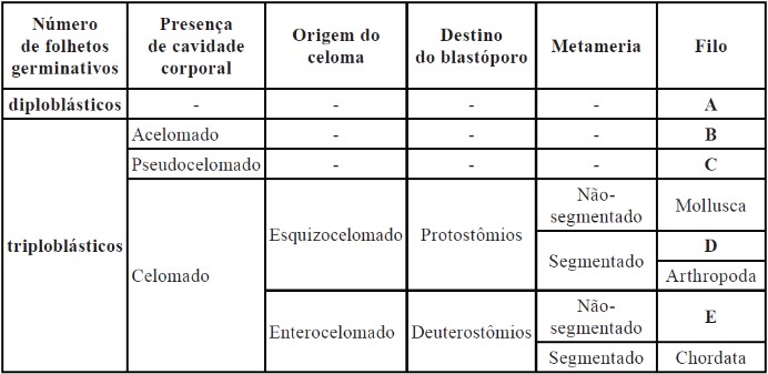 Reino Animal: características, classificação, filos e exemplos