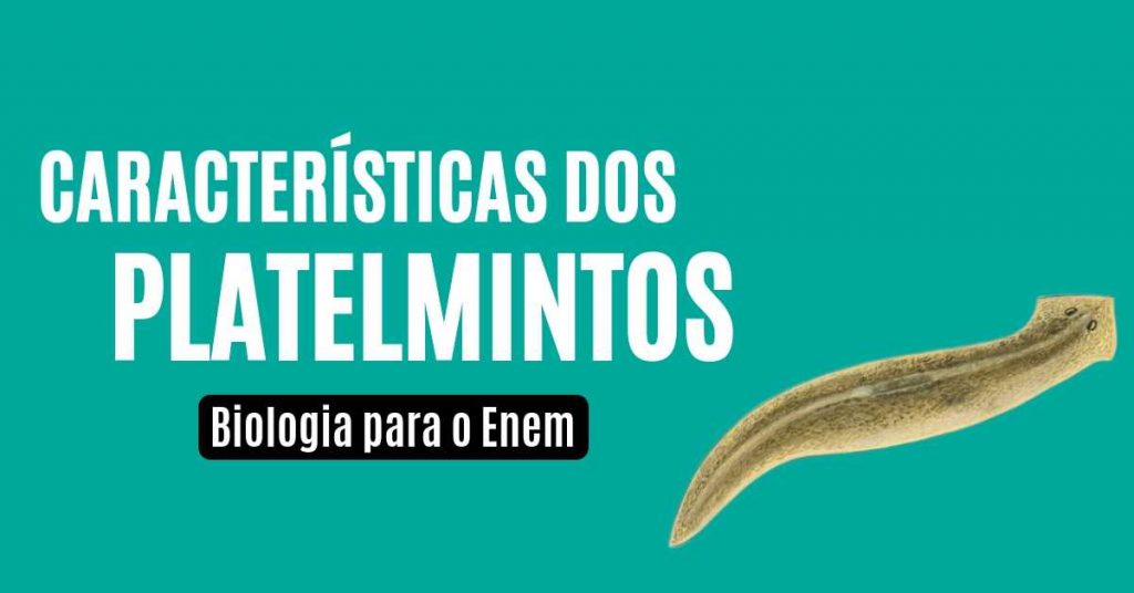 Filo dos Platelmintos: características, classificação e exemplos