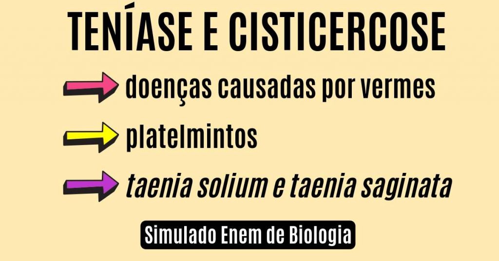 A teníase e a cisticercose - resumo e simulado sobre verminoses