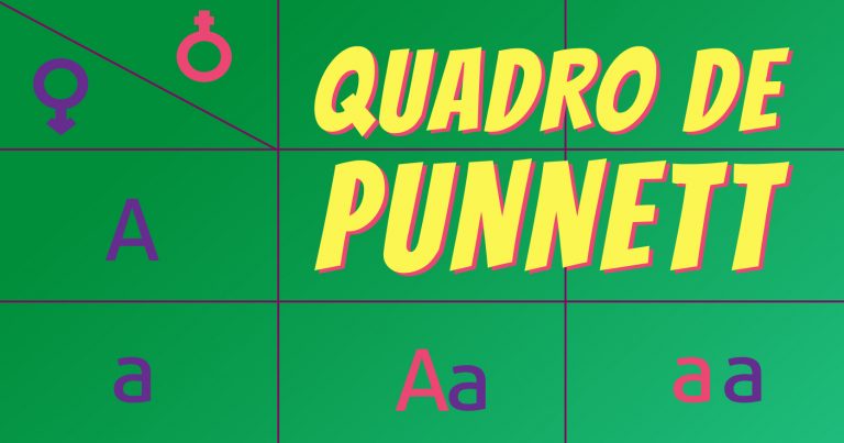 Quadro de Punnett: o que é, como usar e exercícios de genética