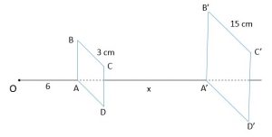 Homotetia: o que é, características, exemplos e exercícios resolvidos