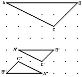 Homotetia: o que é, características, exemplos e exercícios resolvidos