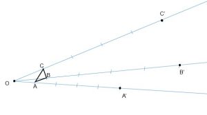 Homotetia: o que é, características, exemplos e exercícios resolvidos