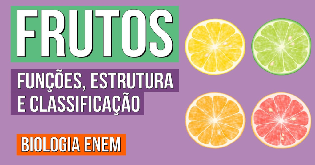 Frutos e sementes: o que são, tipos, classificações e funções